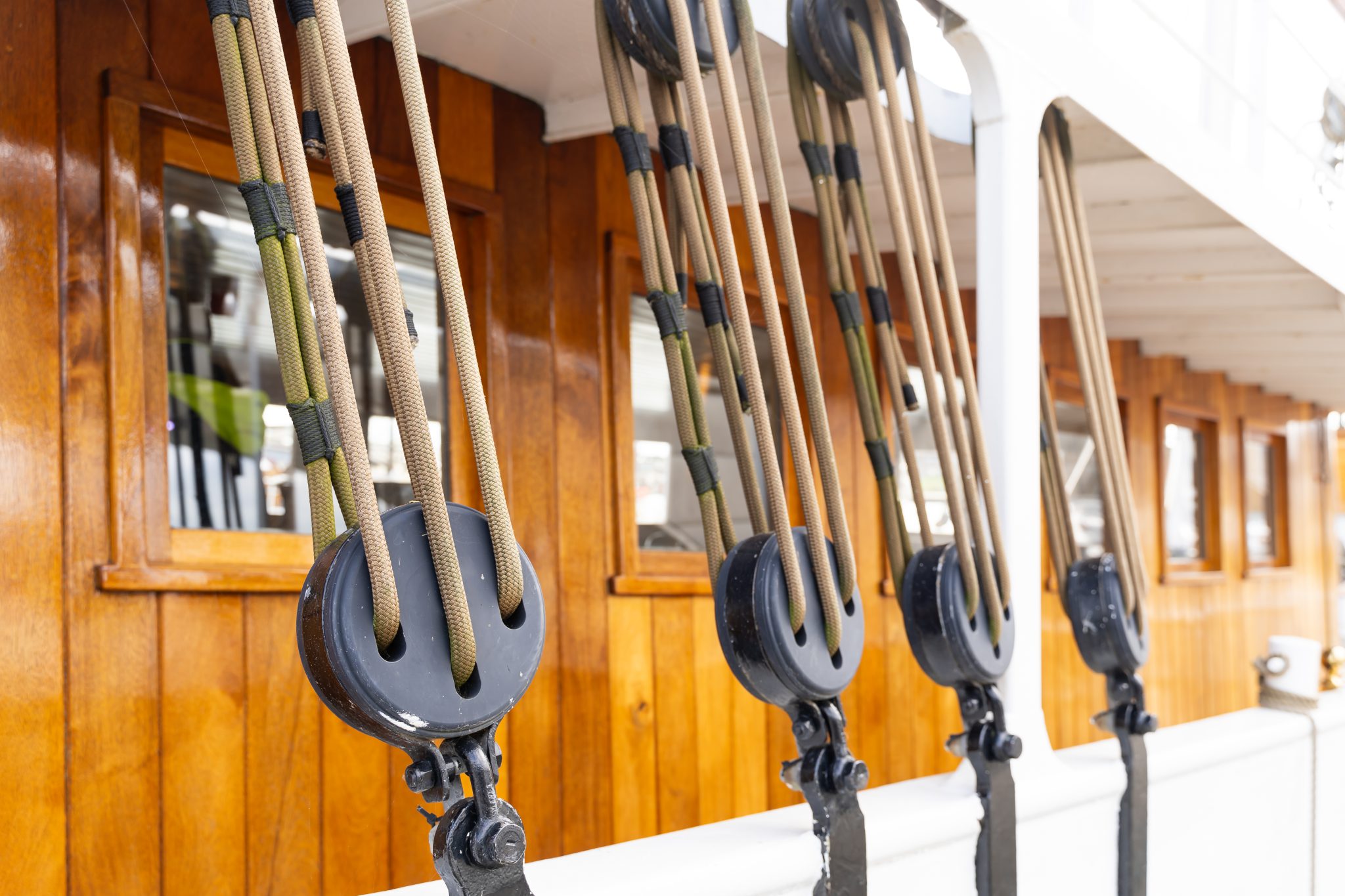 SAB celebrates its 50th anniversary! - SAB-profiel